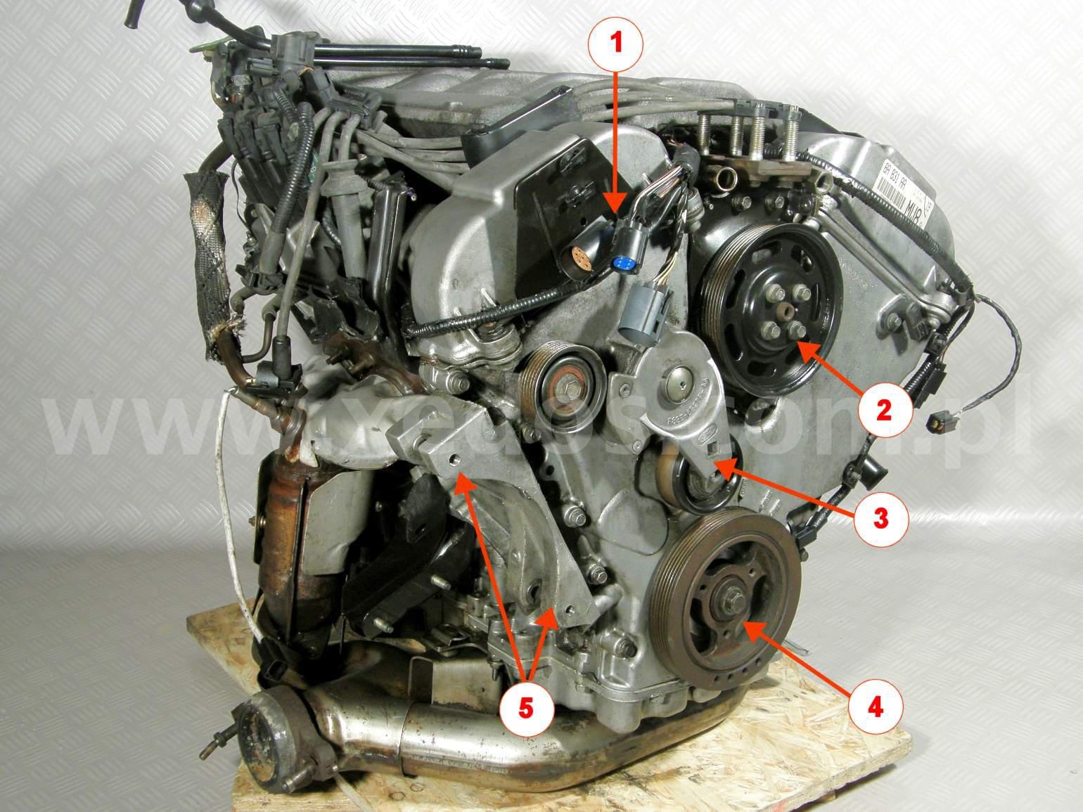 [Porada] Duratec V6 - opis części ze zdjęciami - COUGAR KLUB POLSKA